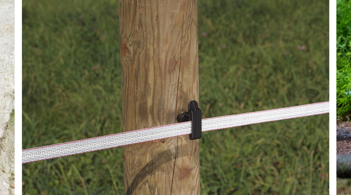 Why use a badger defence fence | Rutland Electric Fencing