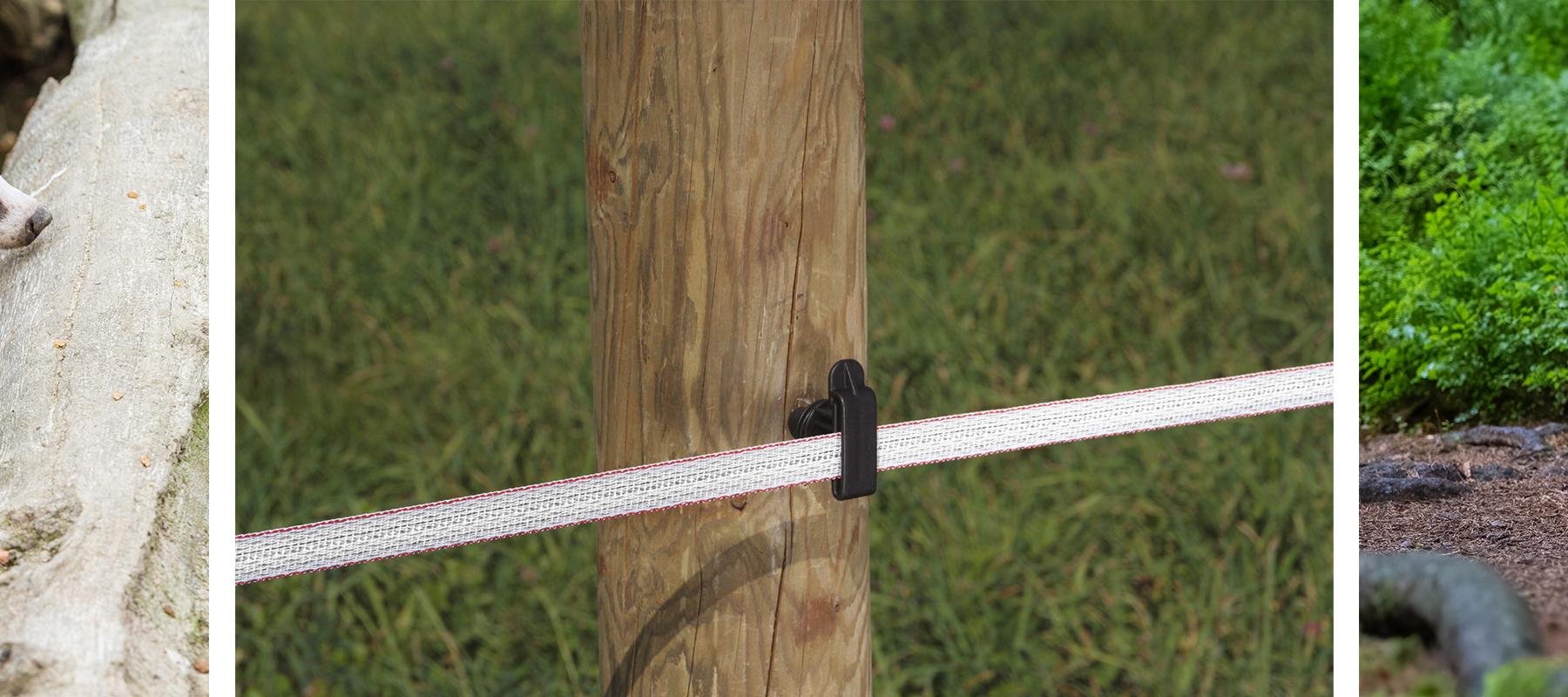 Why use a badger defence fence | Rutland Electric Fencing